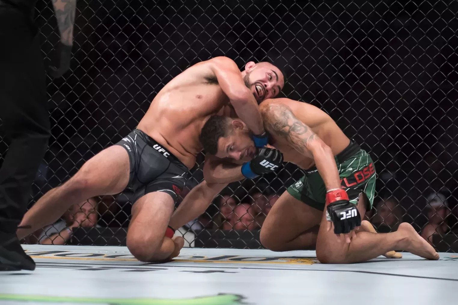 Houston-based MMA Fighters in Dallas | Houston Press