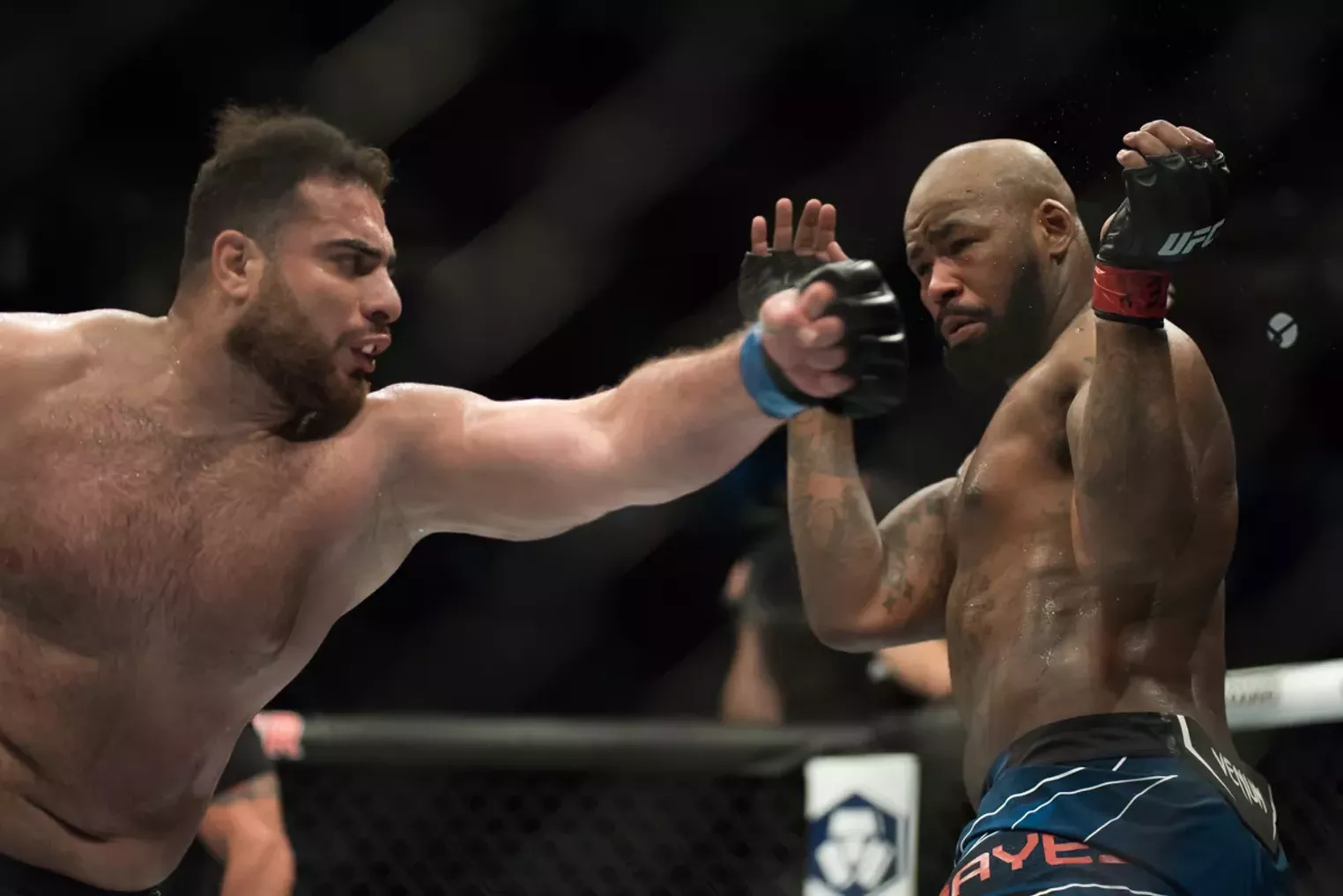 Houston-based MMA Fighters in Dallas | Houston Press