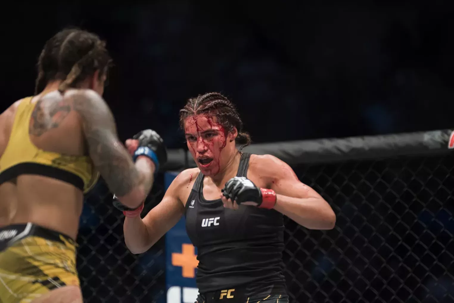 Houston-based MMA Fighters in Dallas | Houston Press